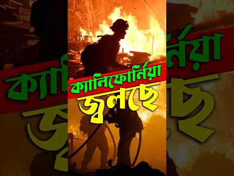 জ্বলছে ক্যালিফোর্নিয়া | California Wildfires #california #facts