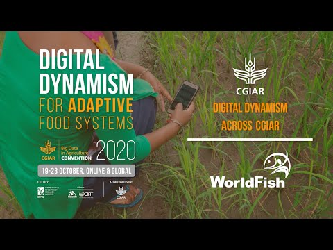 A glimpse of Digital Dynamism for Adaptive Food Systems across CGIAR: World Fish