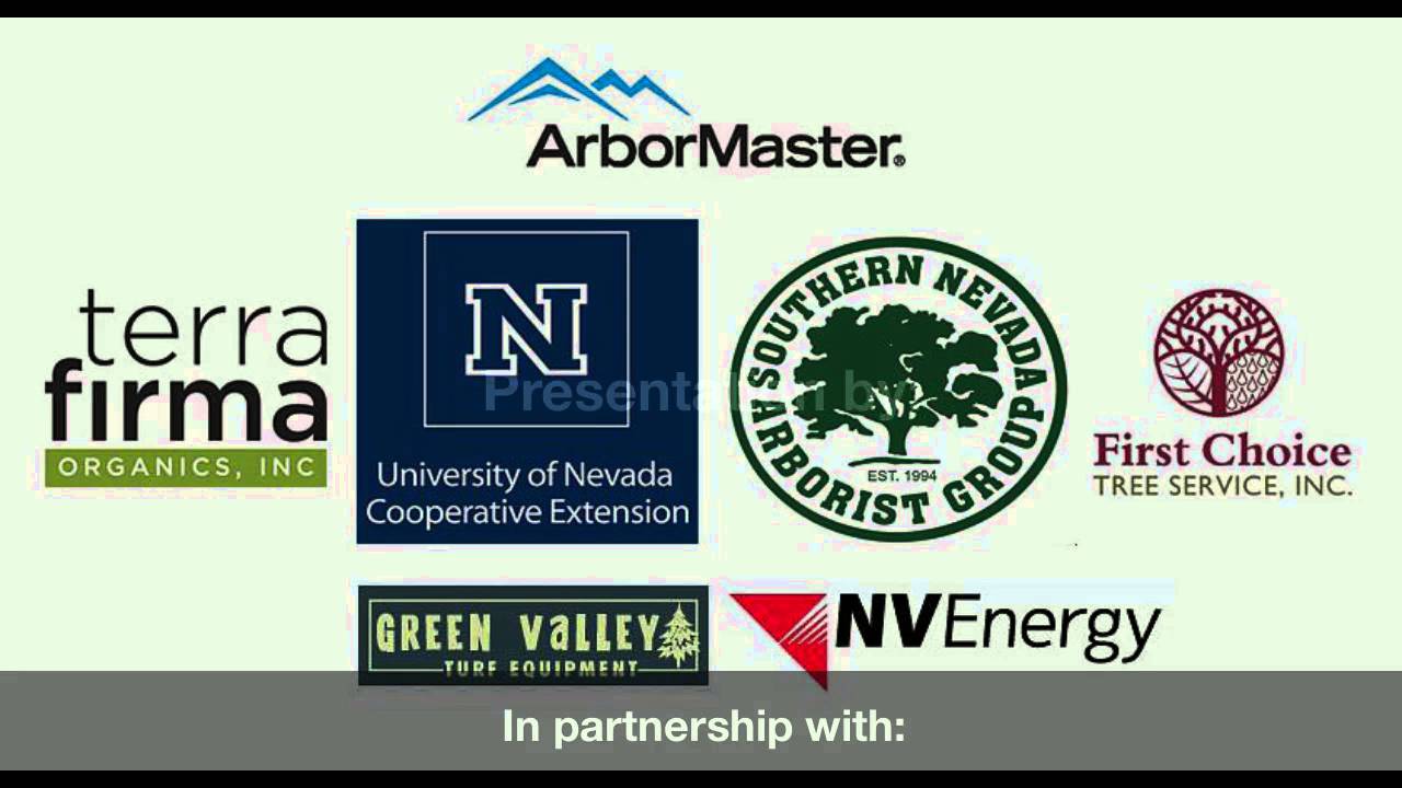 Chainsaw Safety & Handling with ArborMaster