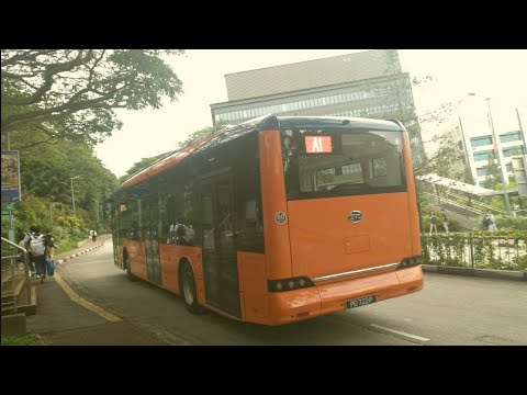 NUS ISB: [PD722P] On Service A1 Departing Yusof Ishak House Bus Stop Along Kent Ridge Crescent