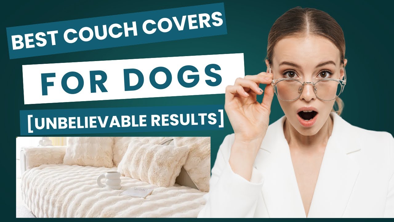 Best Couch Covers for Dogs [UNBELIEVABLE RESULTS]
