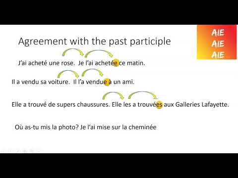 Direct Object Pronoun (COD in French)