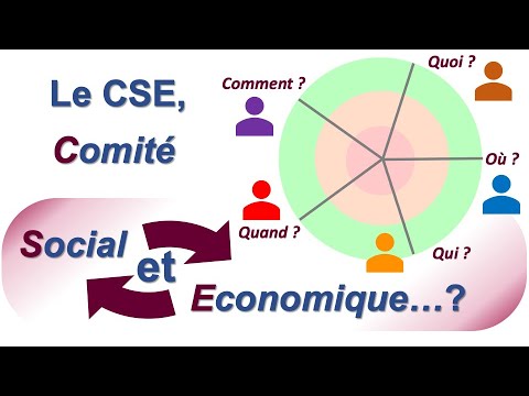 Le CSE quatre ans après : quel bilan, quel devenir