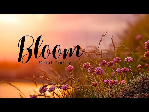 Bloom - Short Poetry - The Write Rhythm