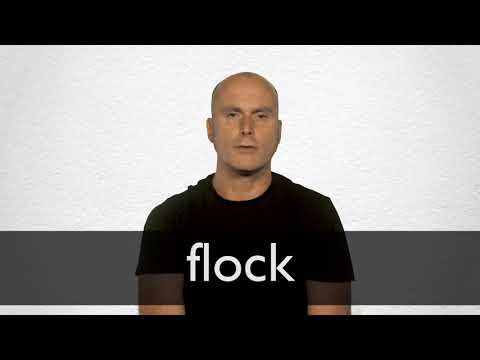 French Translation of “FLOCK” | Collins English-French Dictionary