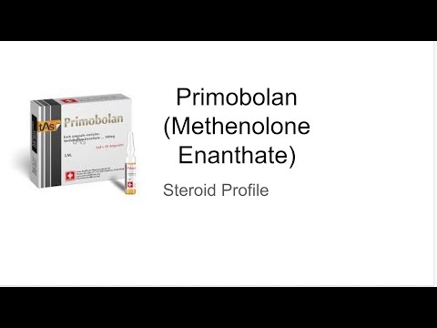 Primobolan (Methenalone Enanthate) - Steroid Profile - Anabolic Bodybuilding