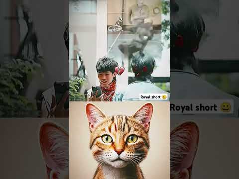 give this video title (warning ⚠️ answer) #cat #memes #dance #trending #funny