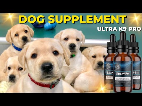 Ultra K9 Pro Dog Supplement – Ultra K9 Pro Reviews - What is Ultra K9 Pro?