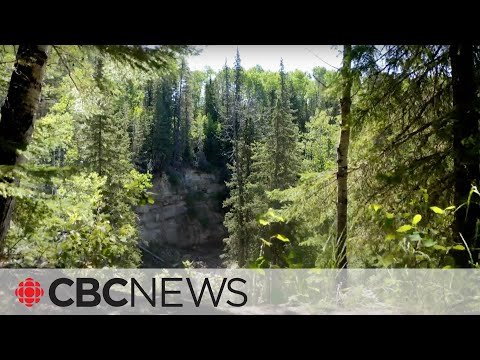 Canada's boreal forest is transforming due to climate change