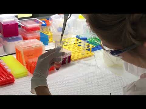 Natural Products Chemistry - How Do We Pick Which Natural Products to Study?