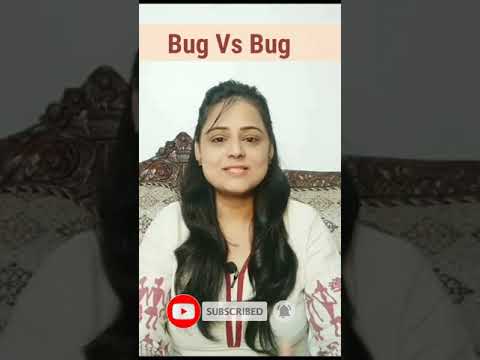 What is the meaning of Bug | How to say Bug in hindi |Bug words has two deferent meaning #shorts