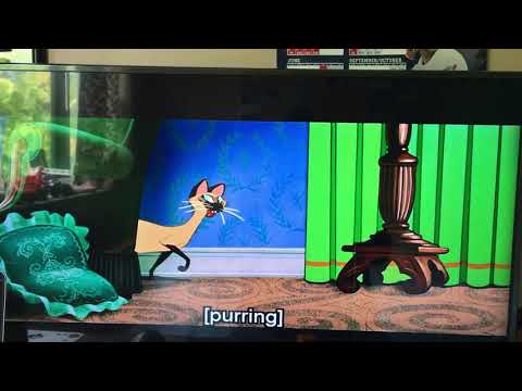 Lady And The Tramp (1955) - The Siamese Cat Song