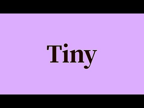 Tiny Pronunciation and Meaning