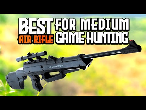 “7 Best Air Rifle for Hunting Medium Game 2025 🦌: Top Picks for Precision & Power” 🎯