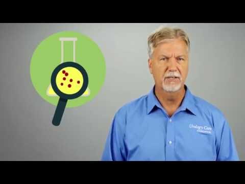 Get the Facts about Hematuria - Urology Care Foundation