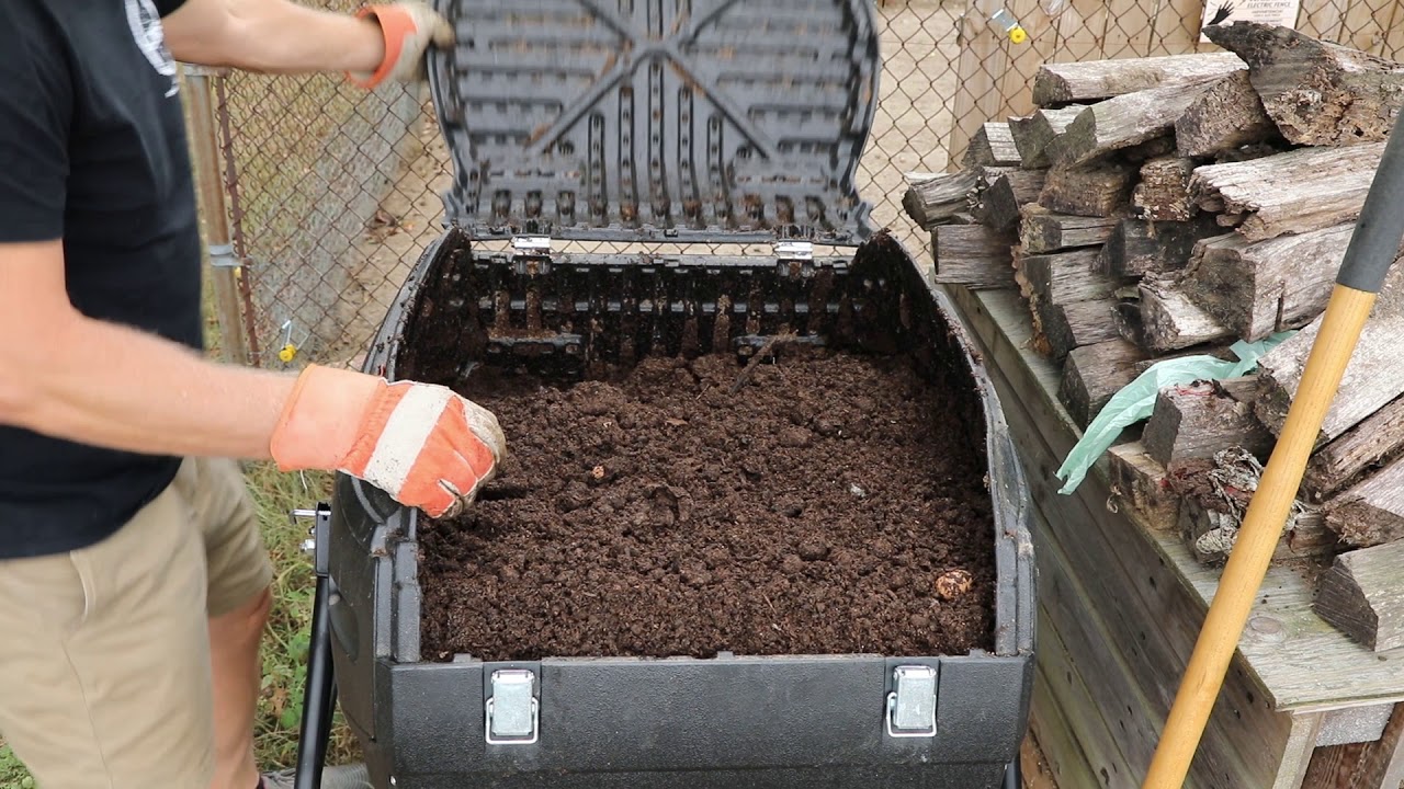 Compostable Bag Experiment Results 7 Weeks