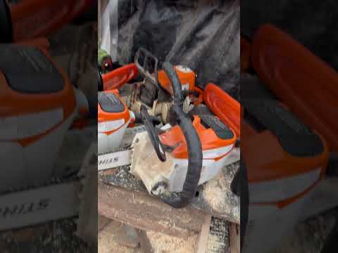 Question How do you pronounce Stihl . Stihl or Steel ? #stihl #chainsawcarver #chainsaw #chainsaws