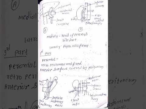 duodenum part of small intestine with proper diagram # anatomy for medical and paramedical student