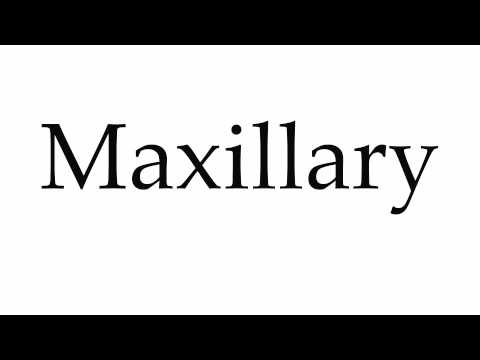 How to Pronounce Maxillary