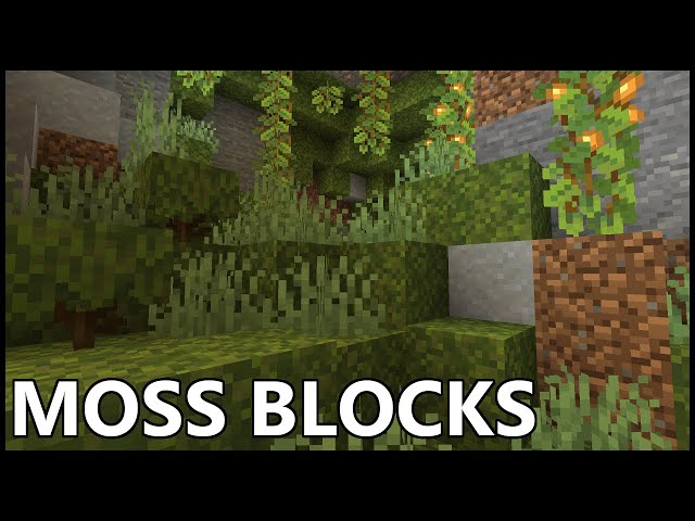 5 best blocks to try in Minecraft 1.18 update