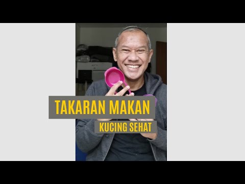 Apakah Takaran Makan Kucing Kamu Udah Sesuai? #shorts