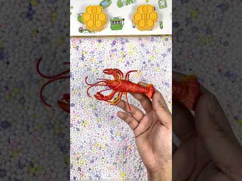 Hunting for lobster toys #shorts #toys #toycars