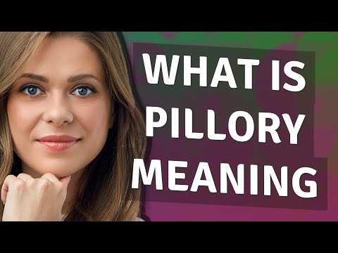 Pillory | meaning of Pillory
