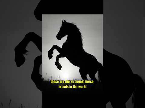5 Strongest Horse Breed In The World #shorts #facts #horse