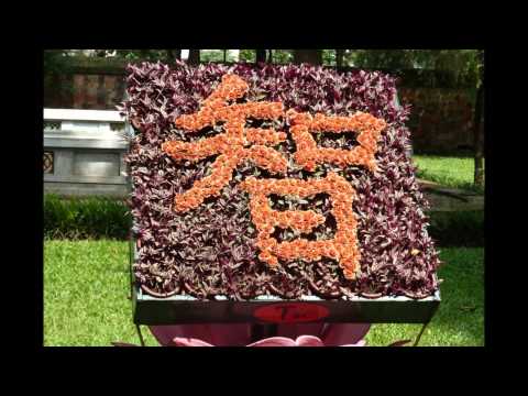 Doc Mo (Ngo Thuy Mien) Mong Hai