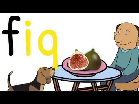 -ig Words, with Pronunciation, Oxford First Friends 2 Vocabulary