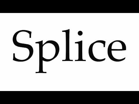How to Pronounce Splice