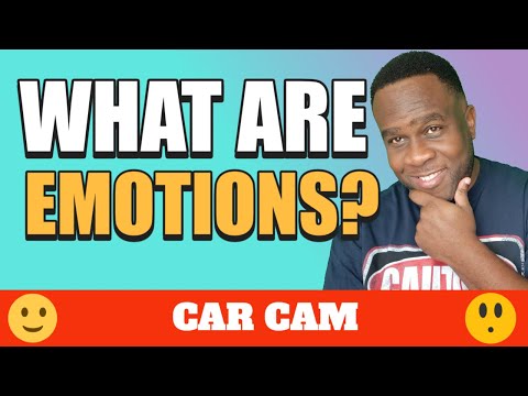How Would You Define What Feelings and Emotions Are?