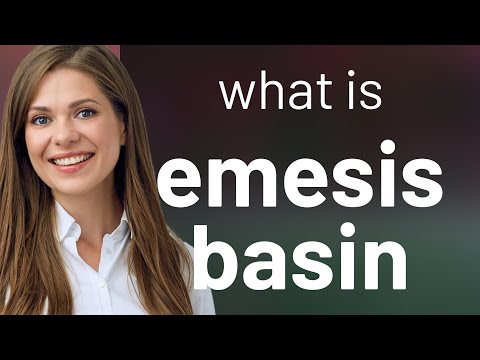Emesis basin โ meaning of EMESIS BASIN