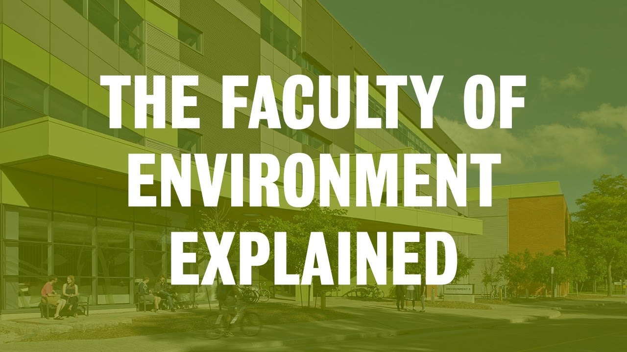 Faculty of Environment explained