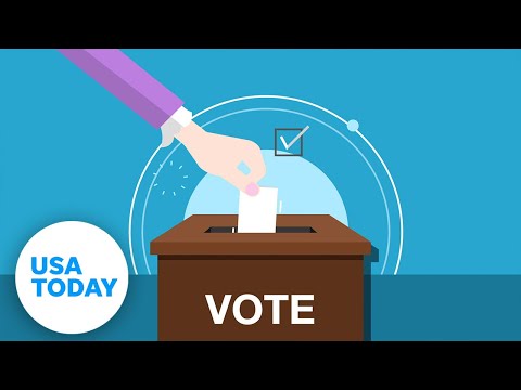How polls work: The science behind gathering voter opinions | Just The FAQs