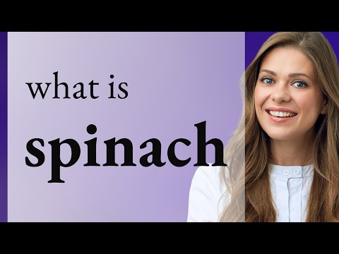 Spinach — definition of SPINACH