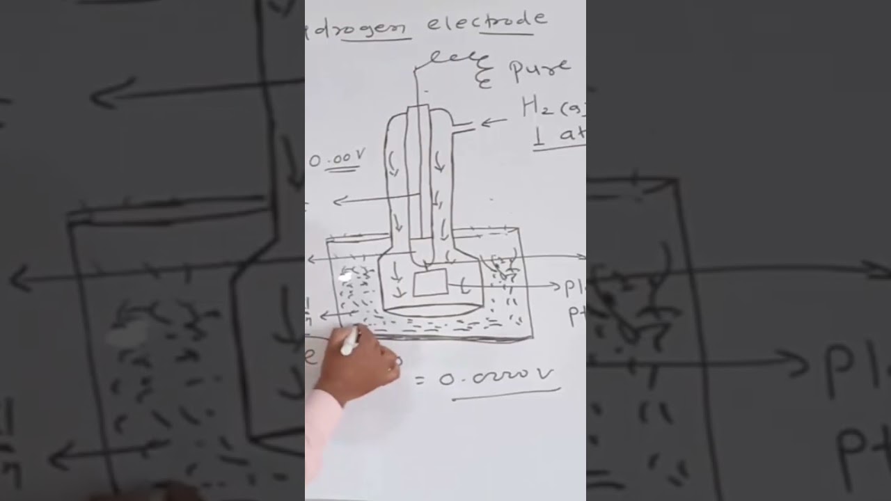 SHE -acts as anode.Learn chemistry with Prof.Maheshkumar Jadhav.M.Sc.B.Ed.SET.,Ph.D(app).RSML