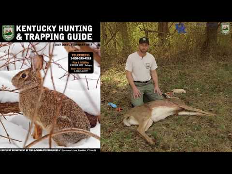 DIY Deer Processing - Field to Freezer