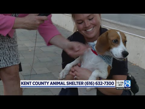 KCAS Pets of the Week: Diamond and Lily