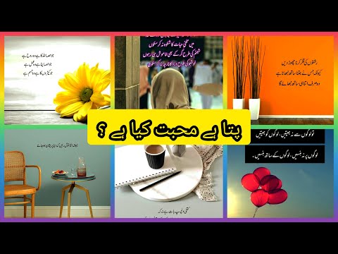 Pta Hai Muhabbat Kia Hai ? || The Most Famous Quotes Images