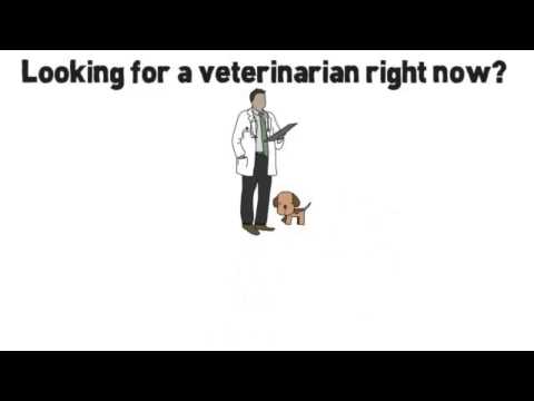 24 Hour Emergency Vet Yonkers NY | (201) 241-3011