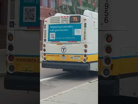MBTA route 504 inbound door announcement #mbta #bus #xn40 #cng #expressbus #xcelsior