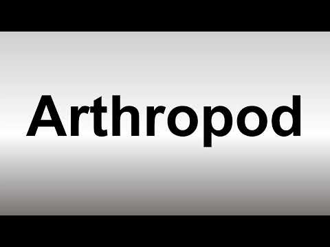 How to Pronounce Arthropod