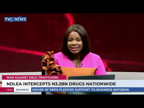 Octogenarians, Student Among Suspects as NDLEA Intercepts N3.2bn Worth of Opioids