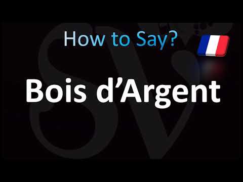 How to Pronounce ''Bois d’Argent'' Correctly! (French)