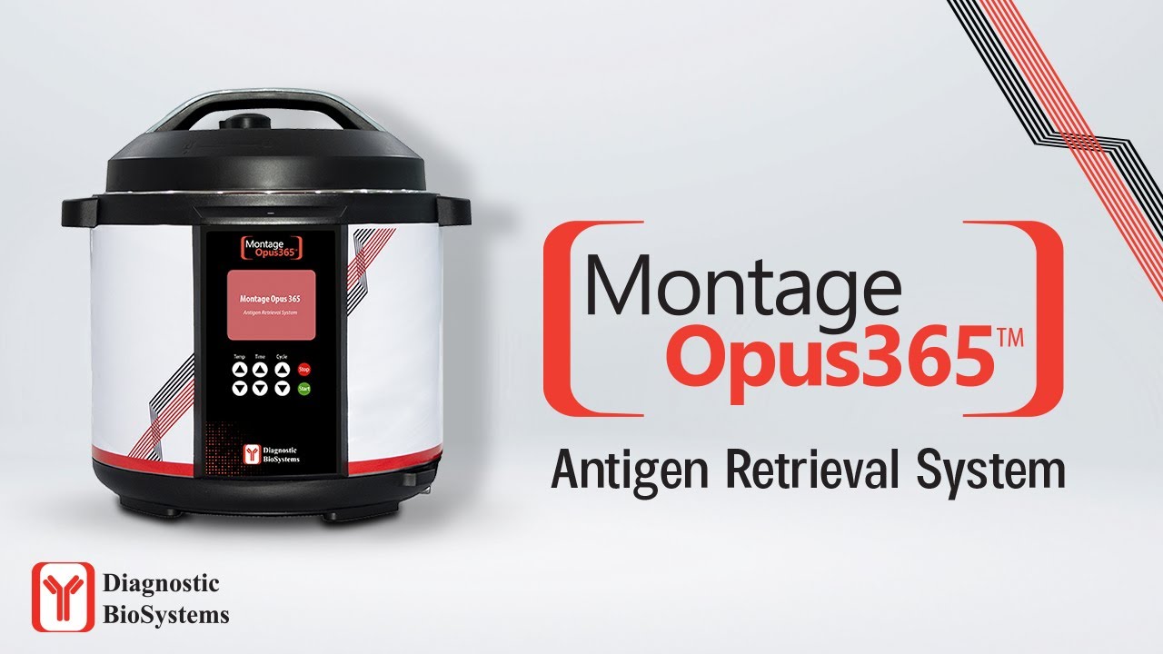 Diagnostic BioSystems Montage Opus365