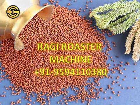 Dried Fruit Roasting Machine at Best Price in India