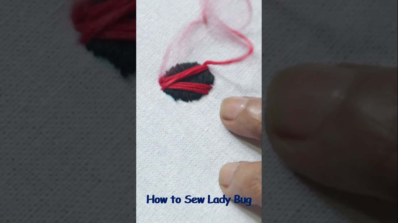 Simple Steps to Make Adorable Ladybugs!