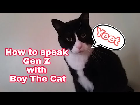 How to speak Gen Z (aka Zoomers)