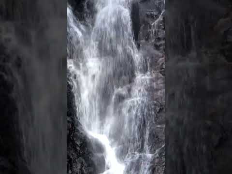Waterfall,Taki In Japanese #japan #beautifulnature #amazingwaterfall #naturelover #youtubeshorts